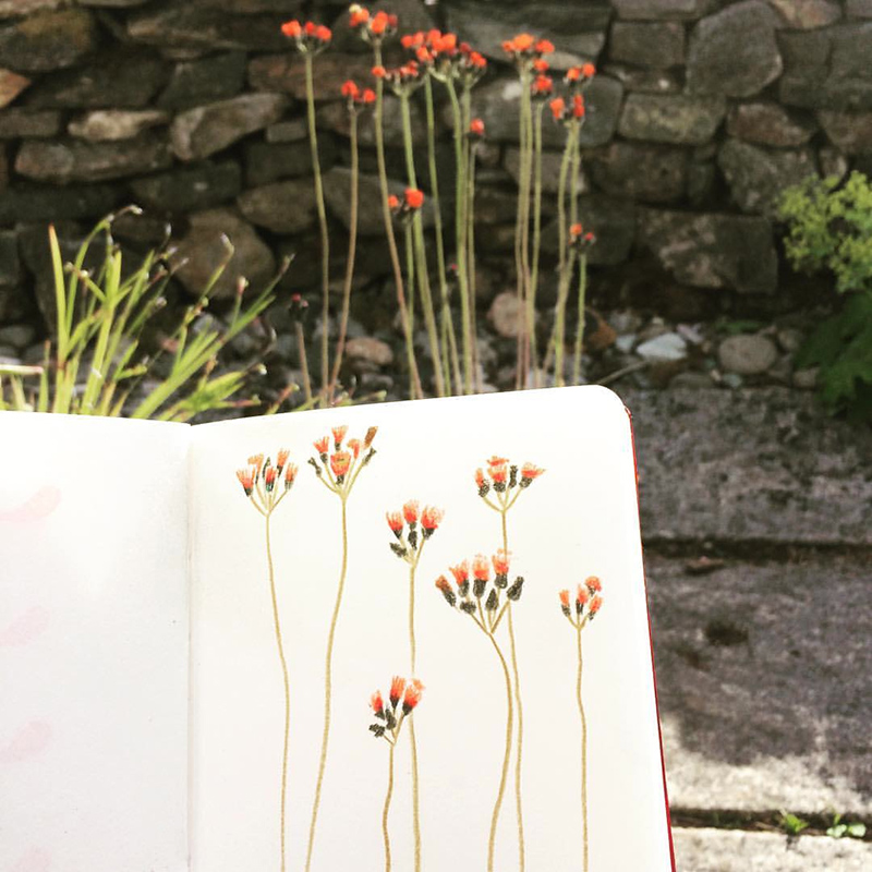 Made In Bristol: Meet The Maker: Corinne Welch