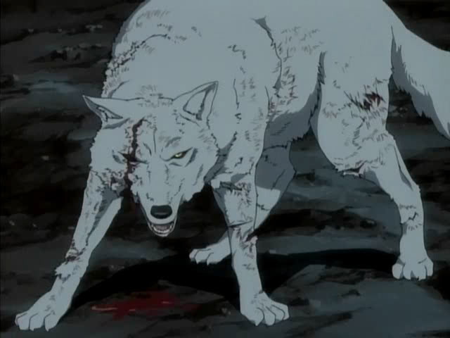 Version 2.0: Follow the paw prints to Paradise.