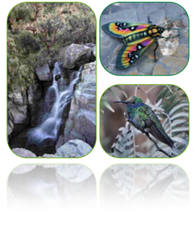 PARQUE EL TUNARI: PARQUE NACIONAL EL TUNARI