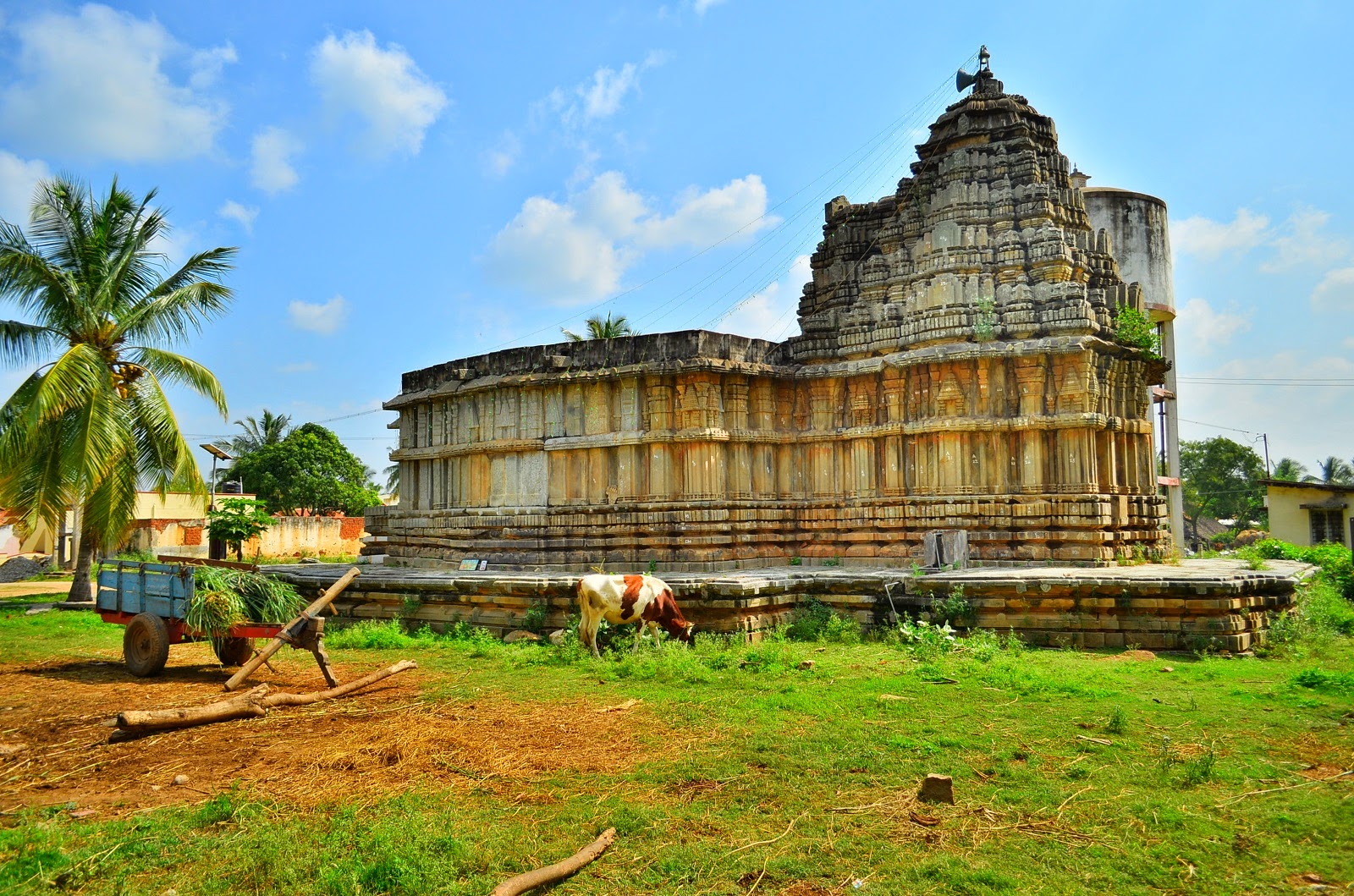 Sharath Hassan A Travelling Photographer: Bhudanoor hoysala Temples ...