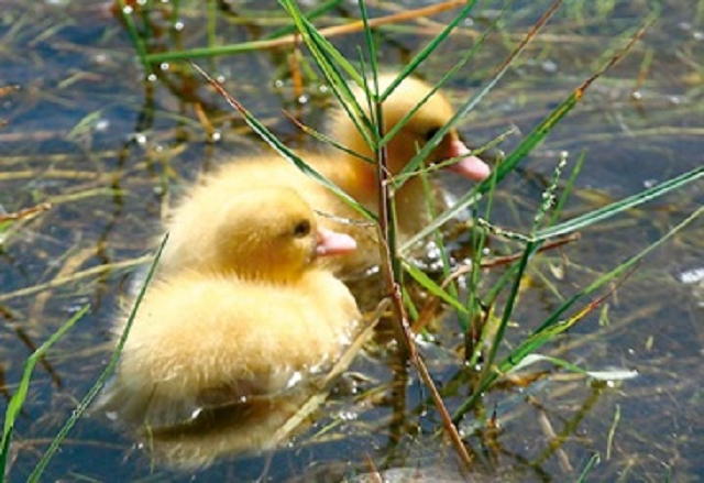 contre vents et marées: décembre 2011