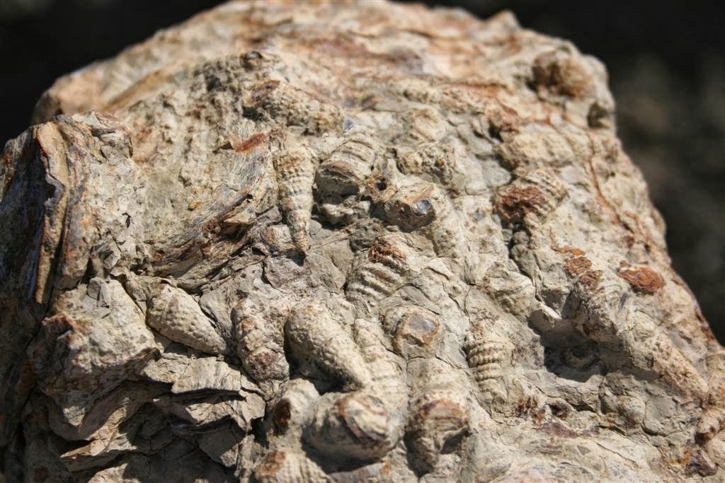 TURISMO TEHUACAN: San Juan Raya