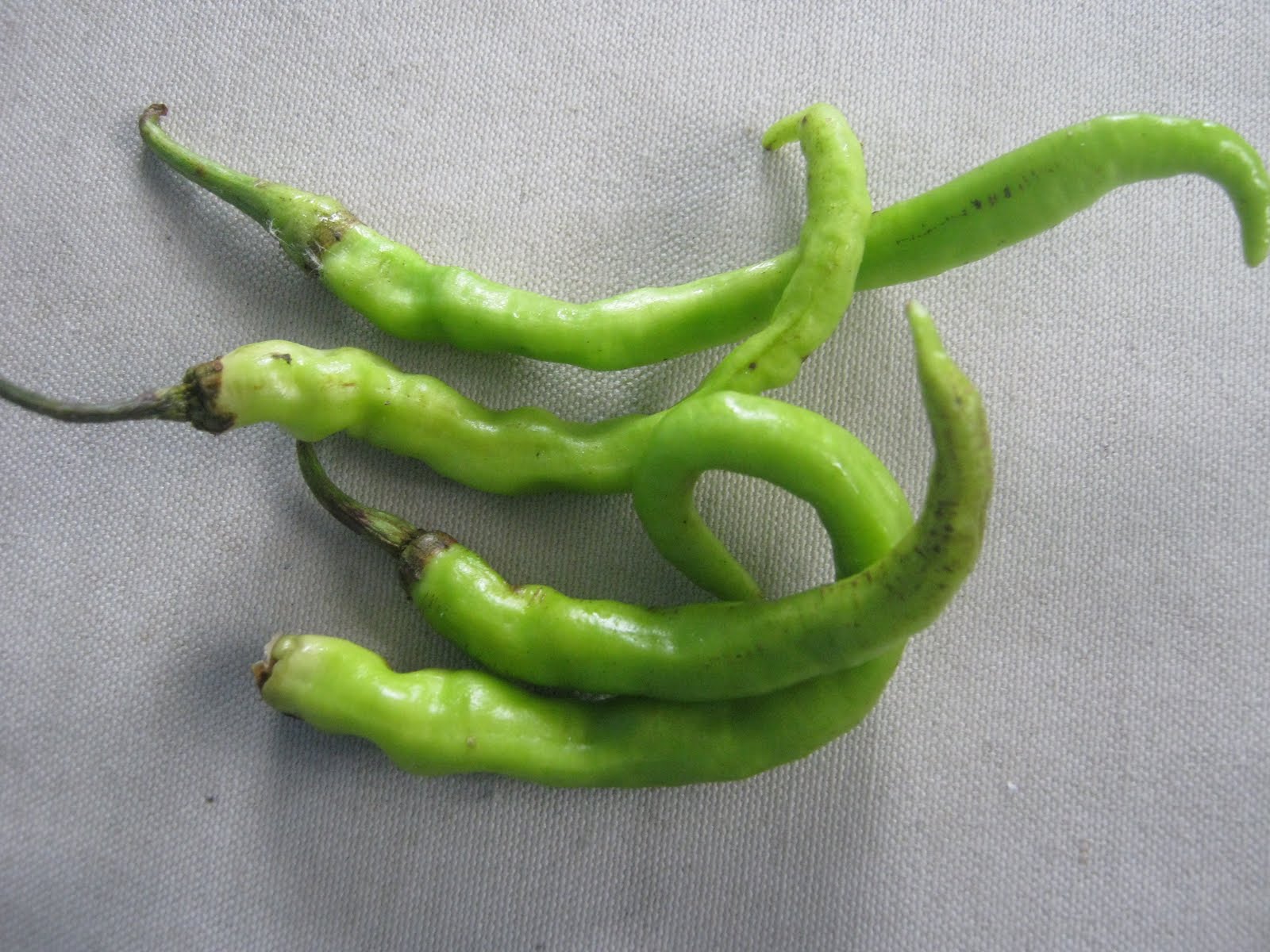 Exotic Goat Innards Stew (Pinapaitang Kambing)