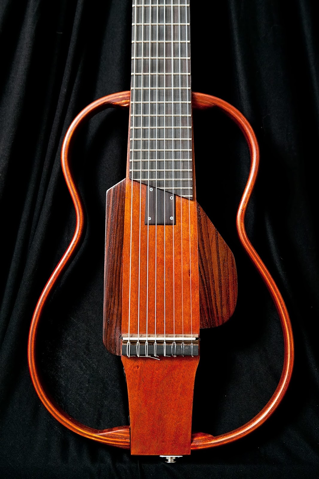 Liutai a Torino: Eight Strings Silent Guitar