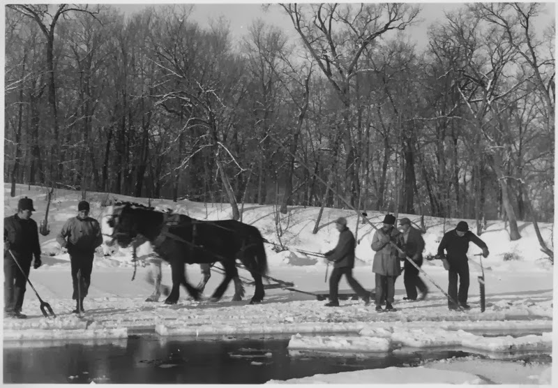 Heroes, Heroines, and History: Ice Harvesting -- You'll Never Take Your ...