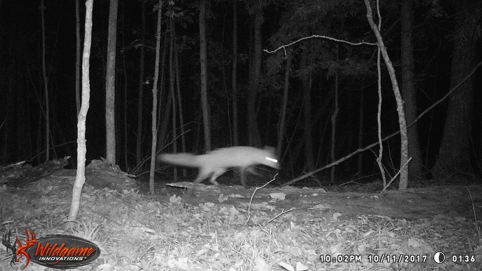 Isabella Conservation District Environmental Education Program: 2017