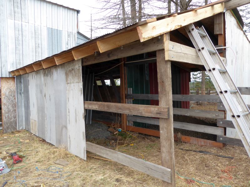 Rural Revolution: Building a bull shed annex