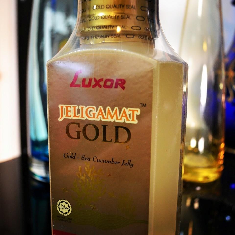 Khasiat & Manfaat Jelly Gamat GOLD Luxor