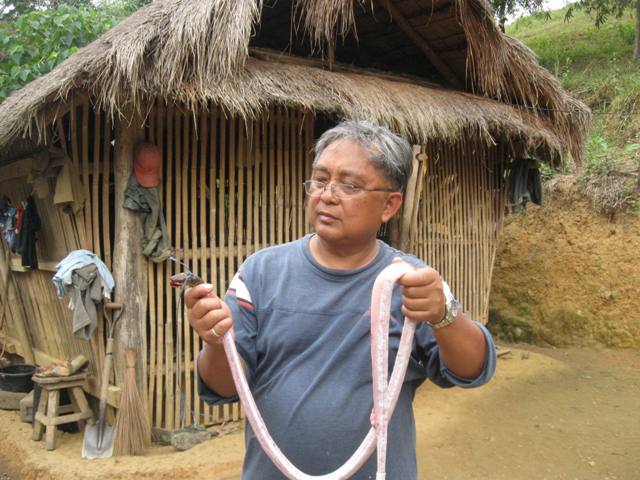 Isinay Bird: Snake-Focused Philippine Tourism, Why Not?