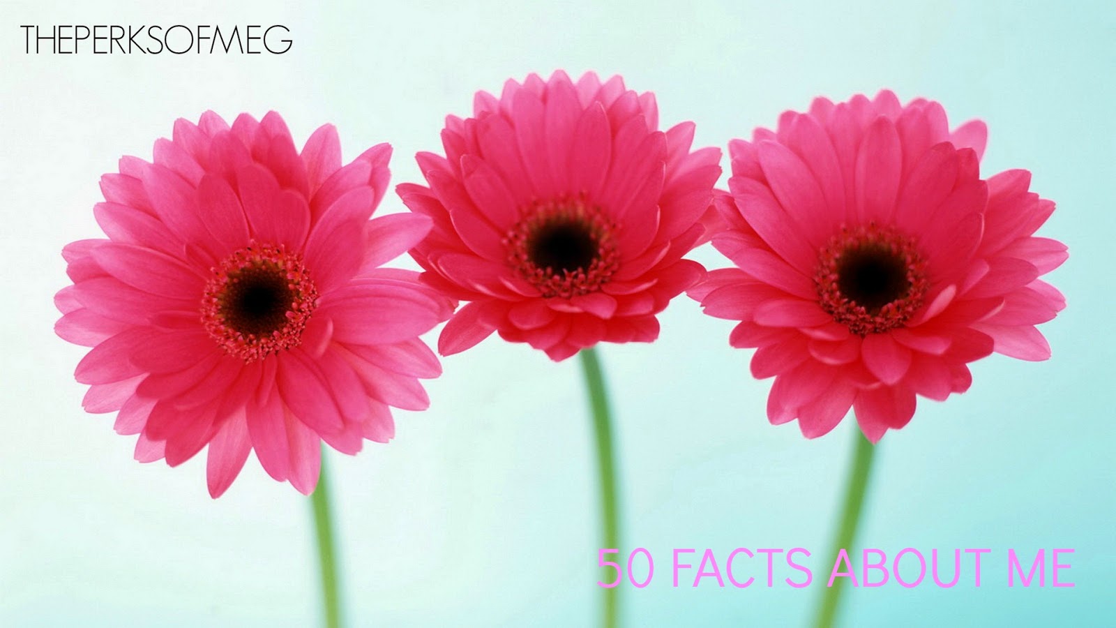 The Perks Of Meg 50 Facts About Me Get To Know Me Better the-perks-of-meg-50-facts-about-me-get-to-know-me-better