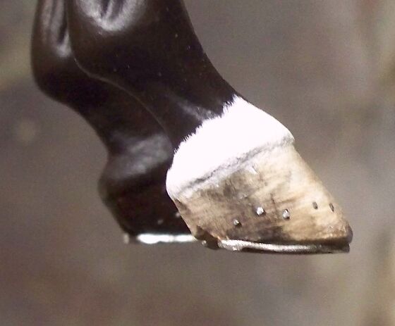 Luvjeordie Studios Blog: Hoof Painting Tutorial: