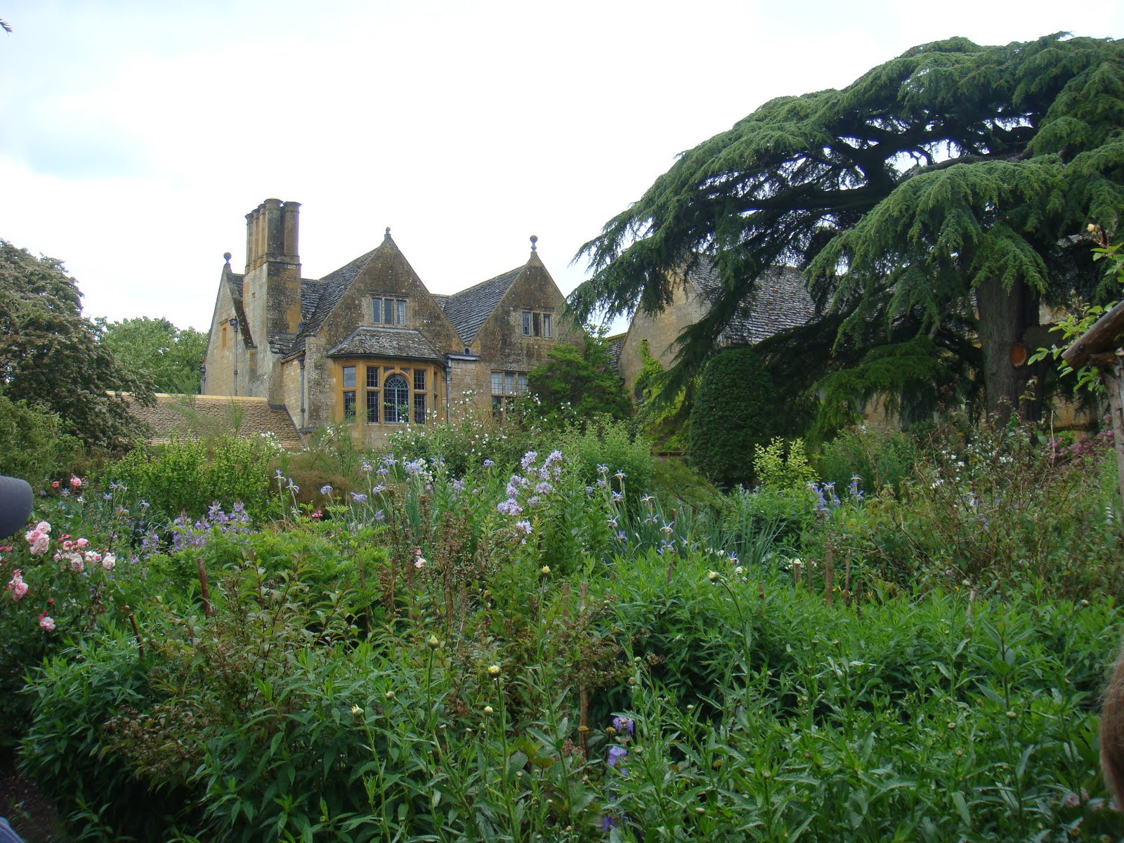 AJ diary: Hidcote Manor Garden