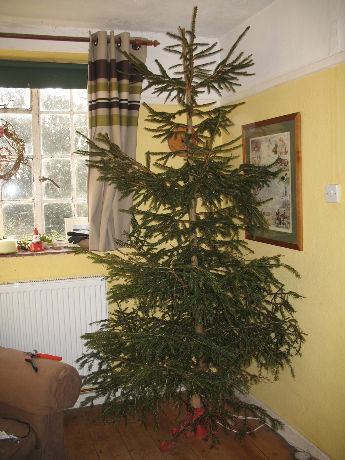 Milkweed & Teasel: Of Christmas trees and cobbling together