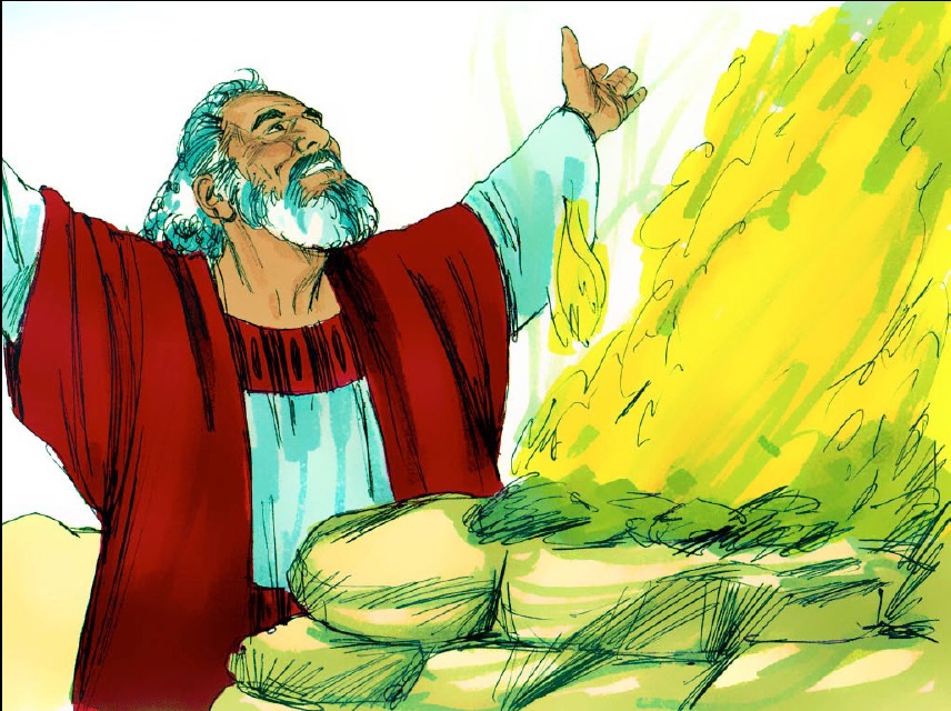 No Caminho Certo: Arca de Noé- Noach