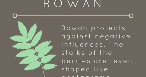 Flying the Hedge: Magical Properties of Rowan