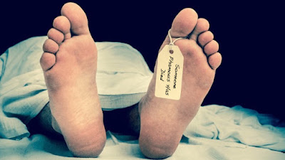 The Peverett Phile: Pheaturing Tracey Bryn And Melissa Belland From ...