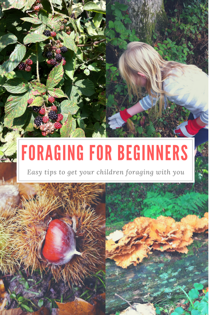 Mummy From The Heart: Foraging for beginners