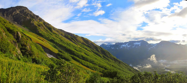Pete's Pitstop: Meander Scar