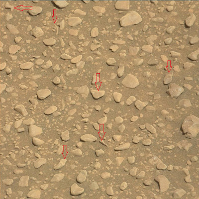 Many Martian Bones in This Photo? | Science and Technology | Before It ...