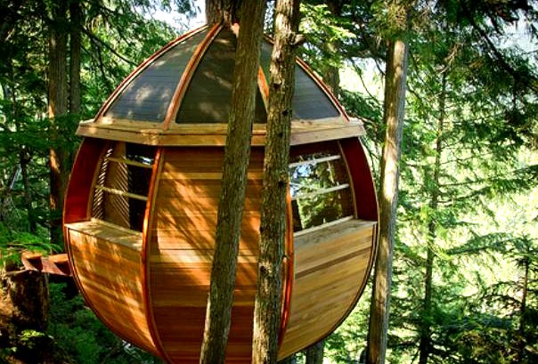 The Flying Tortoise: The Hemloft. A Wonderful Tiny Secret Treehouse...