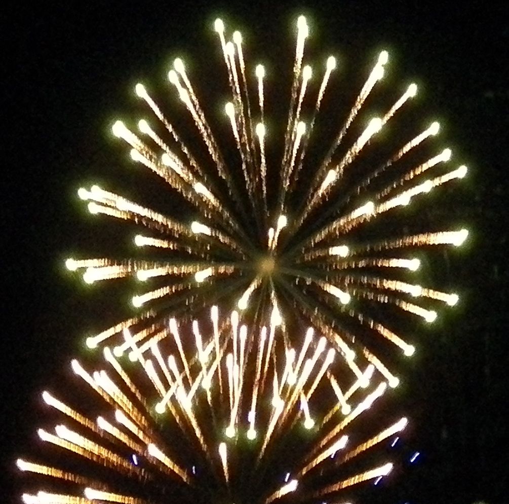 Diamond Rise Gardener: Waiting for Fireworks