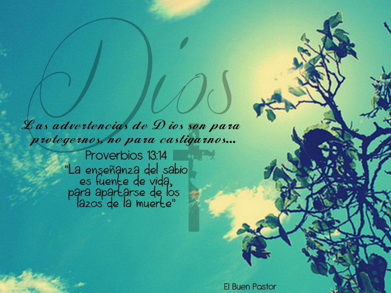 YO SOY EL BUEN PASTOR: Proverbios 13:14