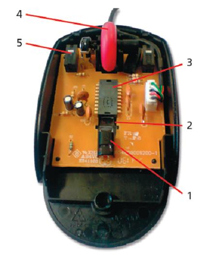 Omar: EL RATÓN POR DENTRO