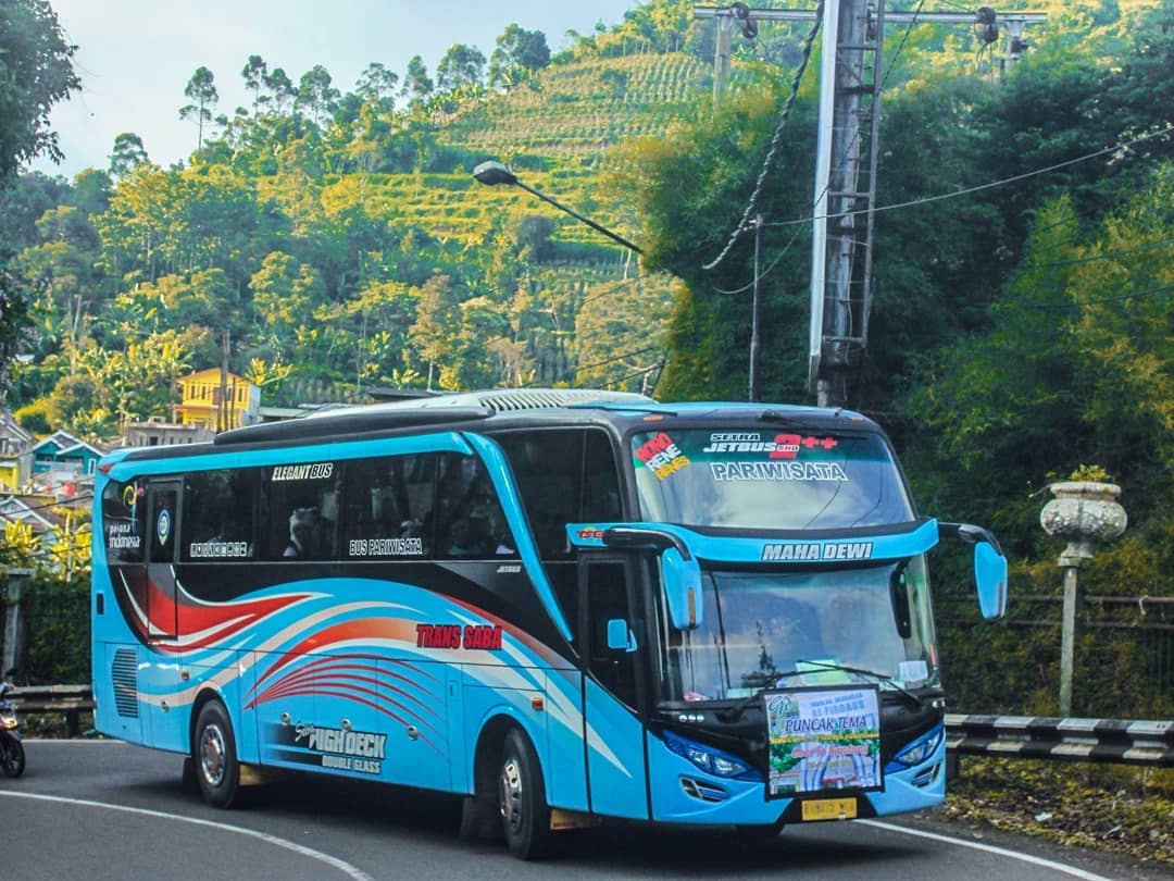 Armada SHD & HDD Trans Saba