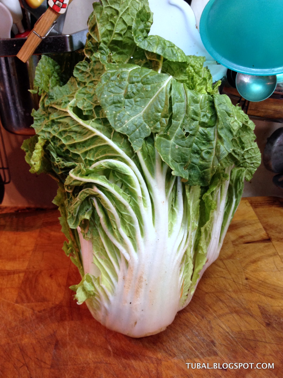 TUBAL: COL CHINA O PAK CHOY