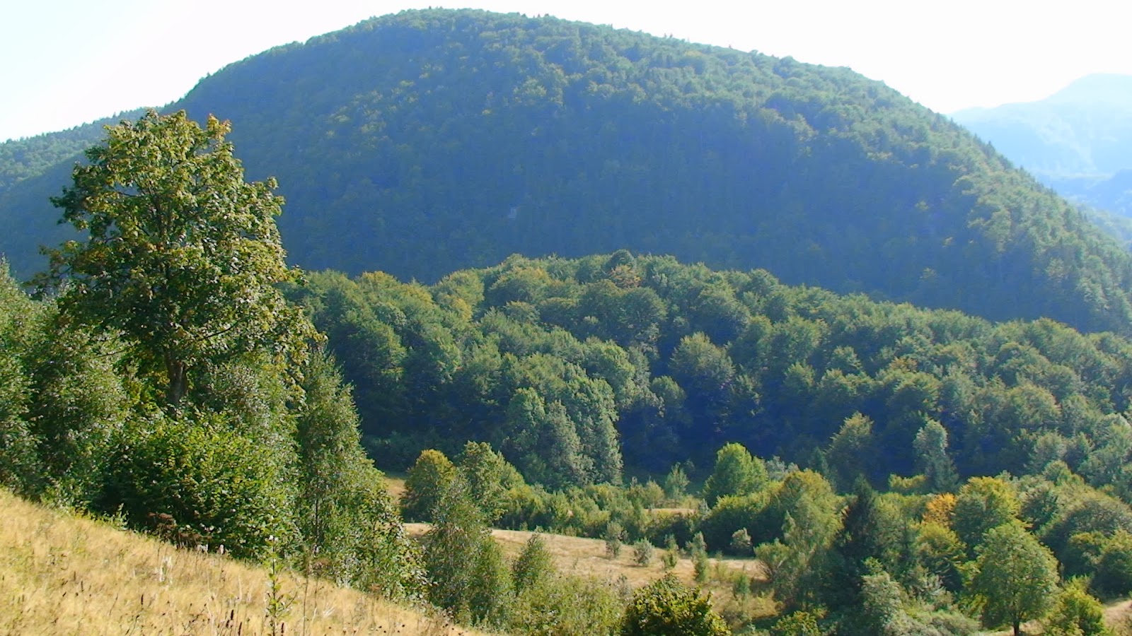 TUDOR PHOTO BLOG: Padis-Zona Turistica,Padis-Touristic Zone,Muntii ...