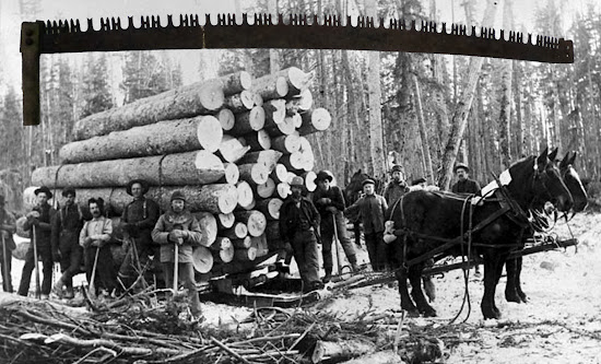 Shellbrook and District Heritage Museum: Museum Celebrates Logging Heritage
