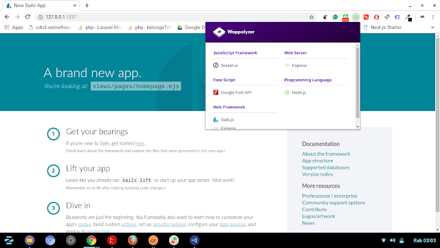 How To Install Sails.js With NPM - Codingster
