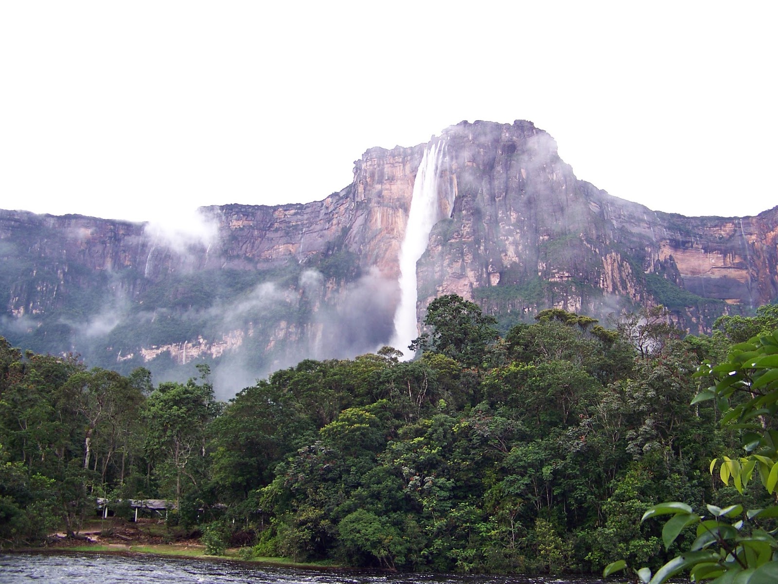 Los Viajes de Montenegro: Canaima: Magia en la selva venezolana.