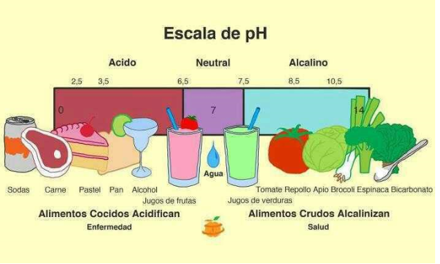 PHYTOFARMEDIC: PH DE LOS ALIMENTOS