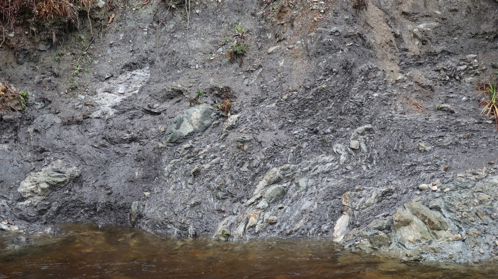 Reading the Washington Landscape: Washington Outer Coast: Ruby Beach Notes