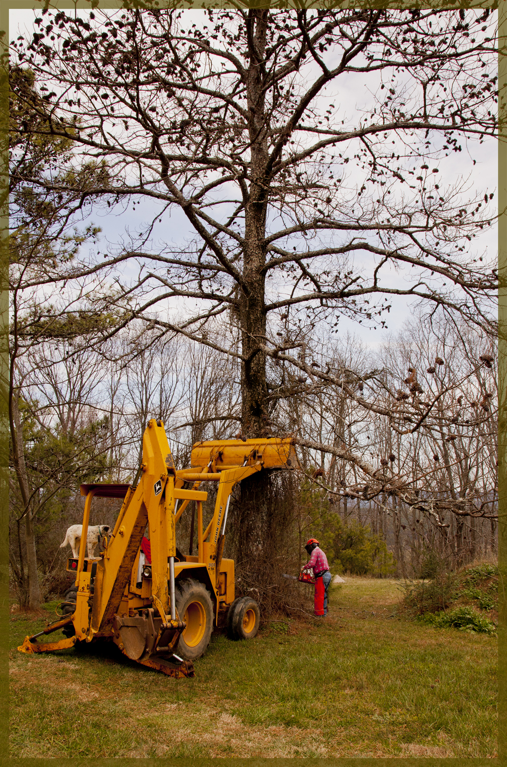 Musings from Bucks Mountain: 2012 Merry Christmas!
