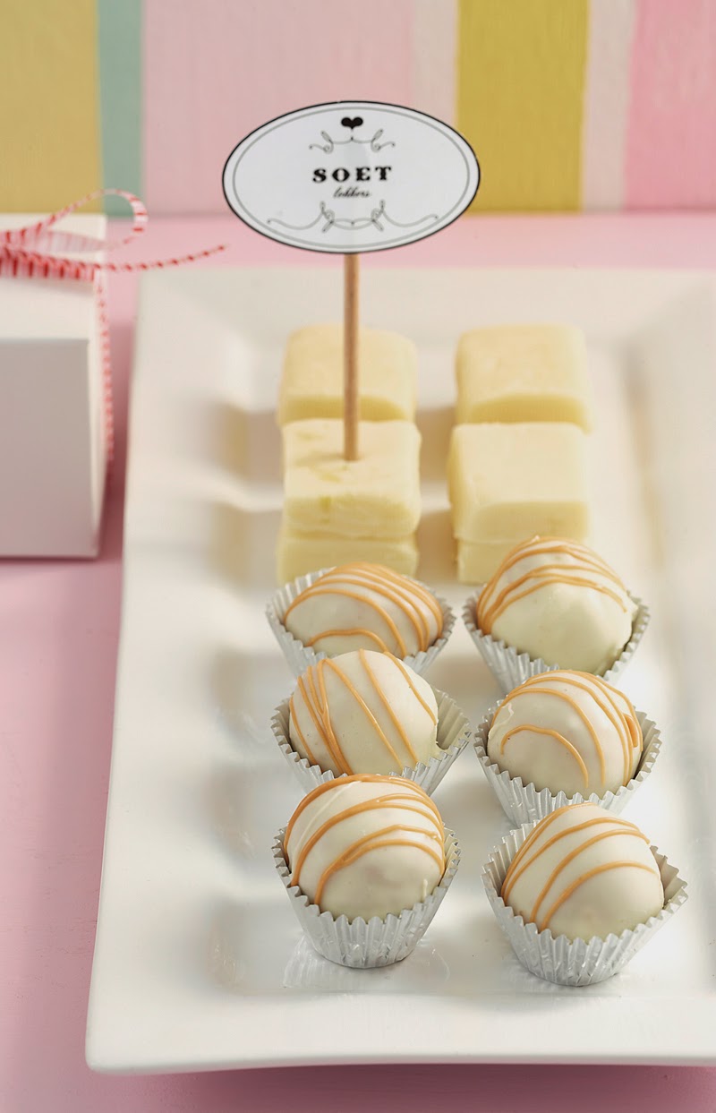 LEKKER RESEPTE VIR DIE JONGERGESLAG: SJOKOLADE LEKKERGOED