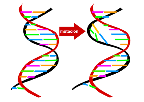 Biología y Geología: Mutaciones y Diversidad Genética.