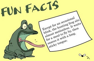 Stinky Gringo Margaritas: 20 things you might not know!