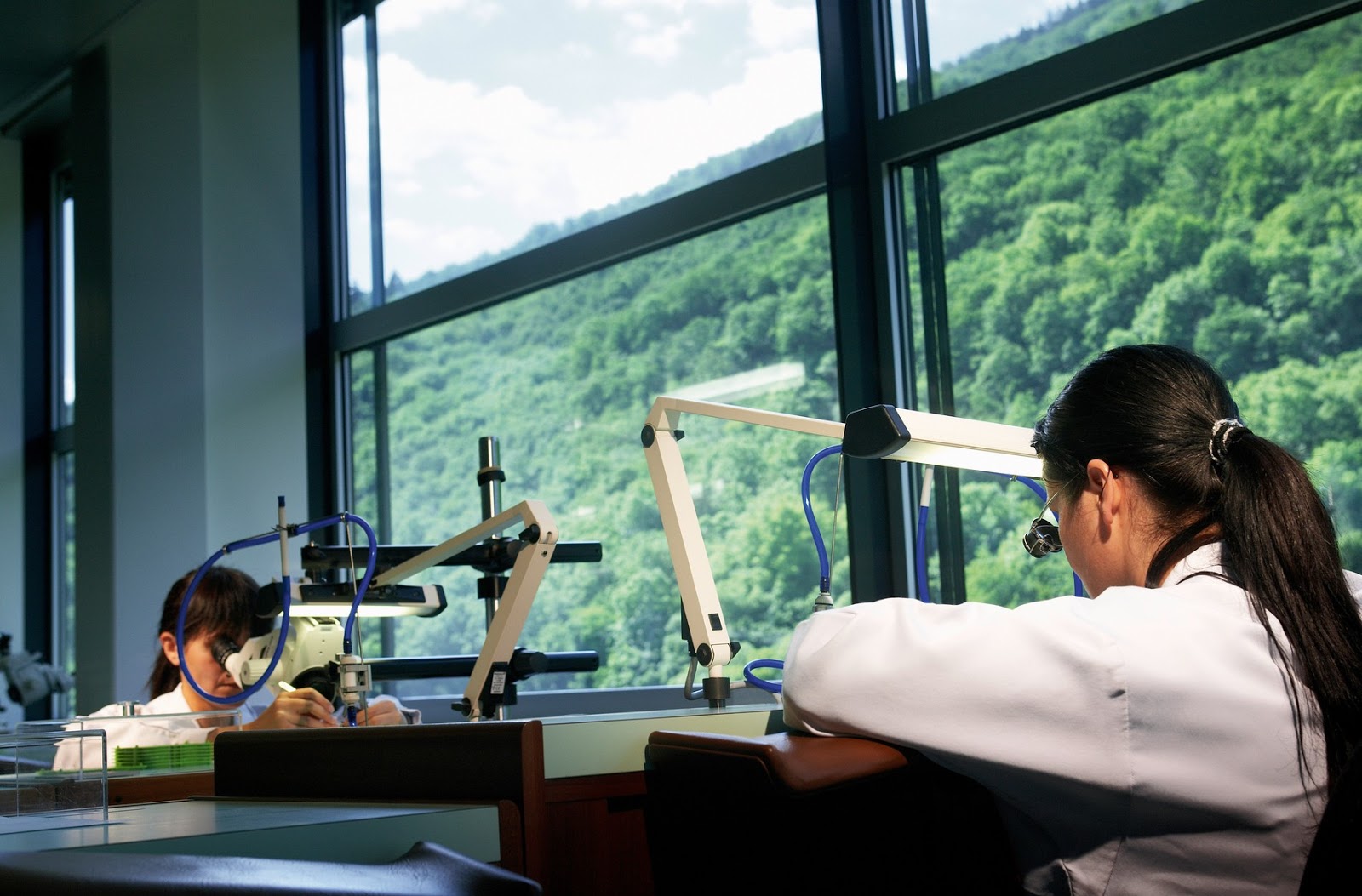 Why Buy a Rolex? - Rob's Rolex Chronicle