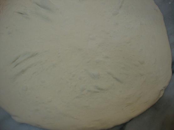 Learning Knowledge to Make Pizza: Preferment Lehmann dough made with CY ...