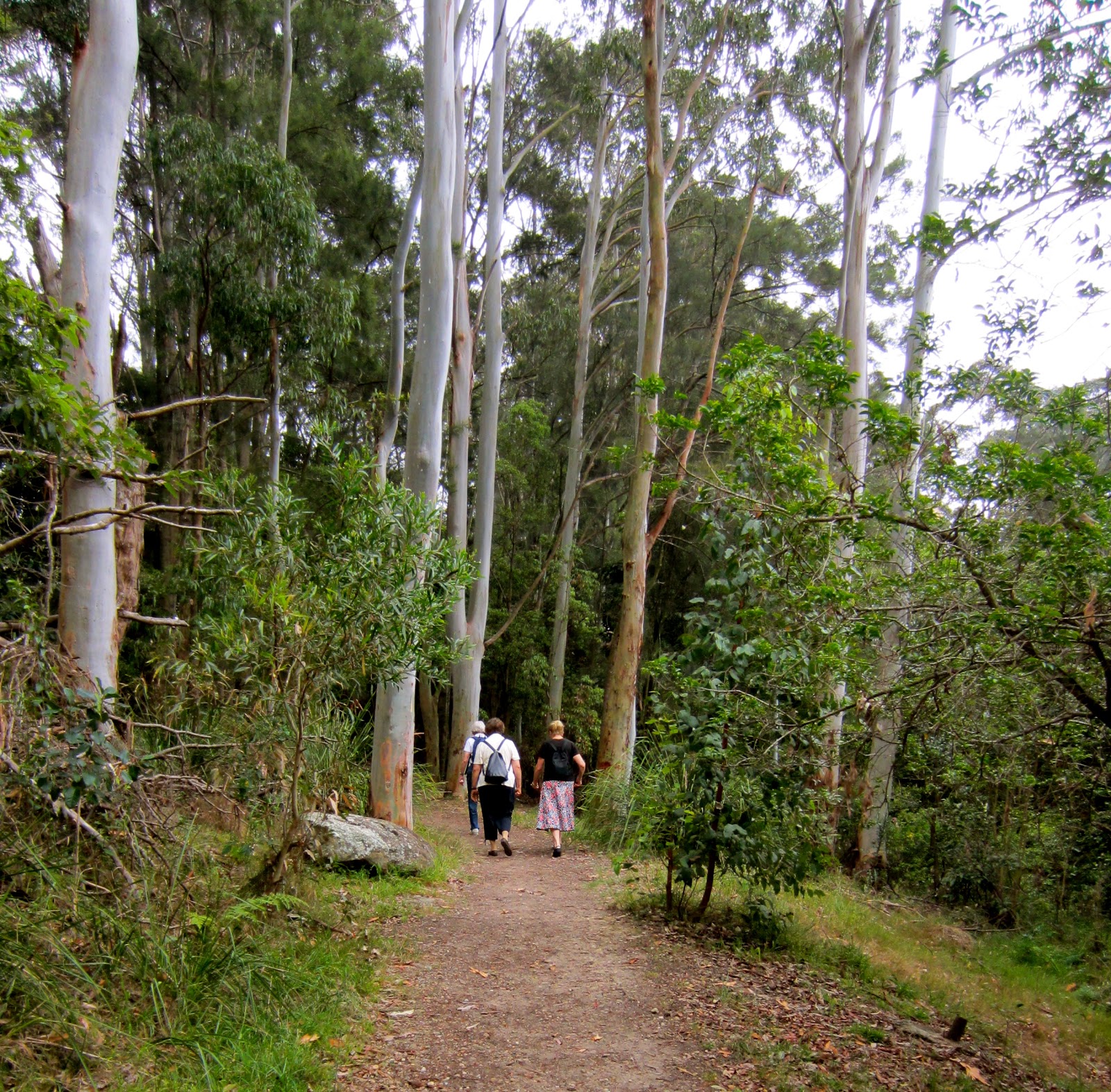 Carolle's Walking Group: 25 Tambourine Bay Park Walk