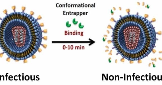 Vaksinologi : Cara Inaktivasi Virus