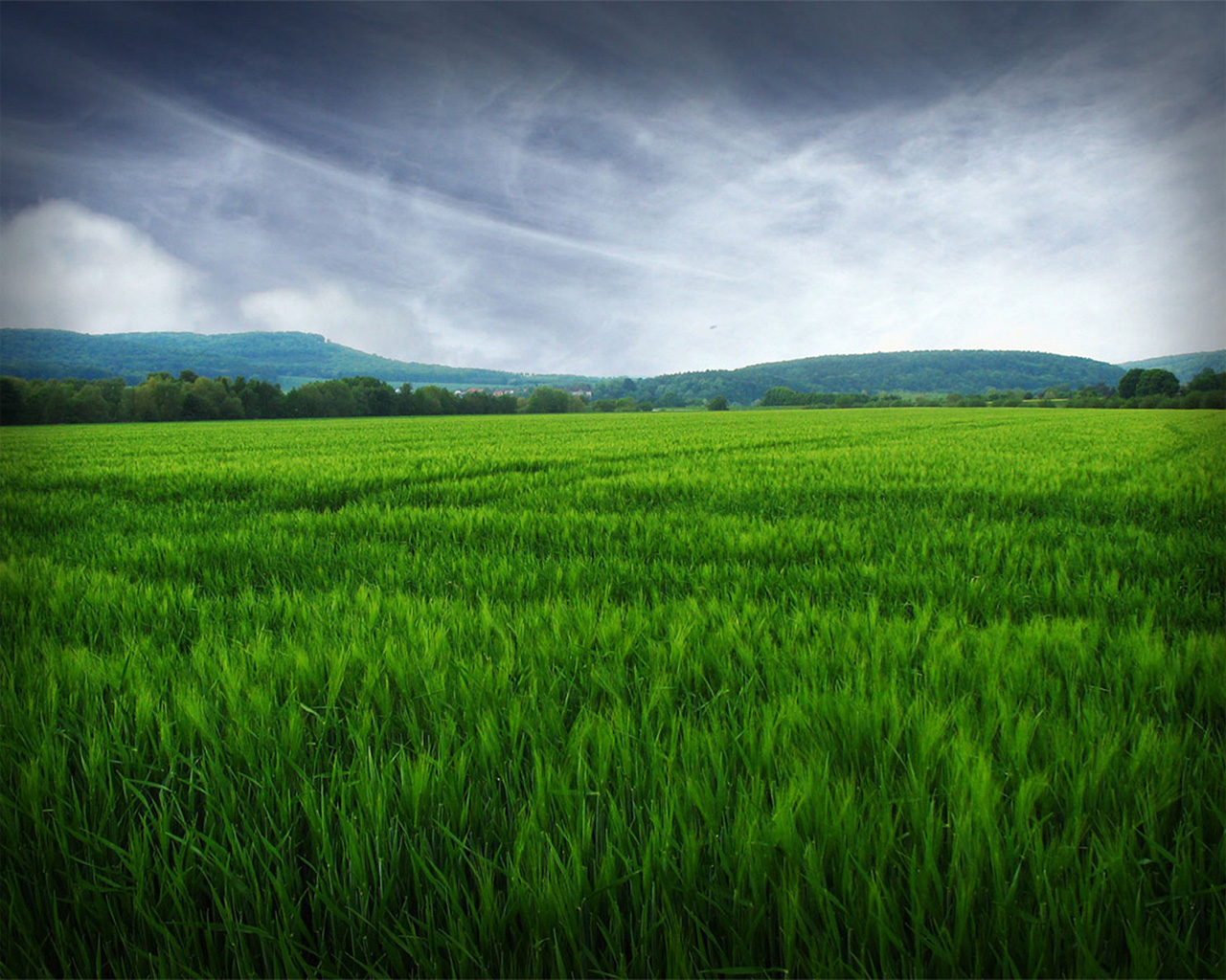 Leah S Ideas Hidden In My Field
