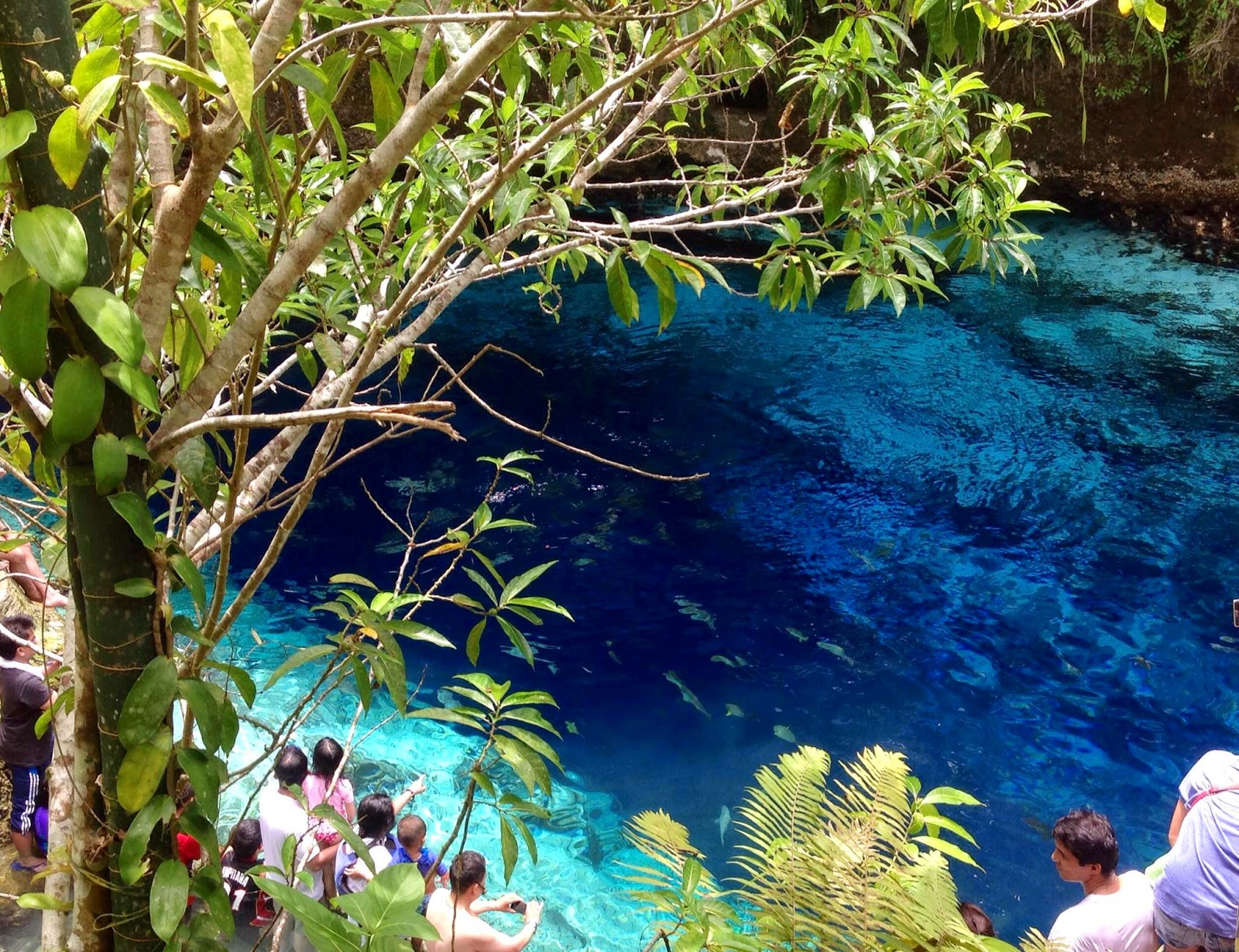 the traveller & her thoughts: THE ENCHANTED RIVER