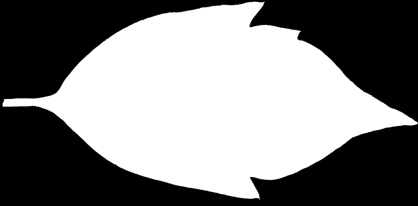 HIGH RESOLUTION TEXTURES: Leaf Textures