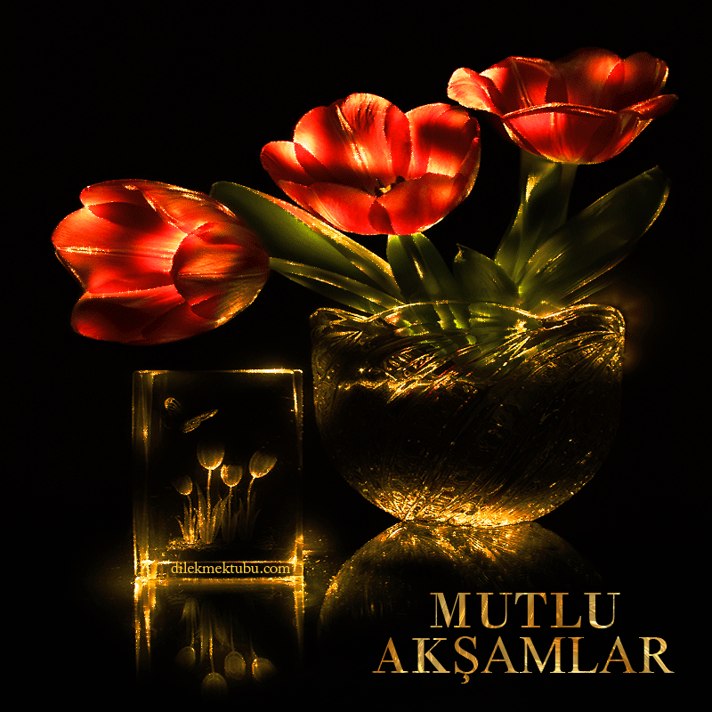 Pırıltılı iyi akşamlar gifleri - Dilek Mektubu