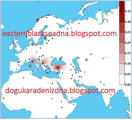 Eastern Black Sea DNA: Laz Y-DNA Haplogroups