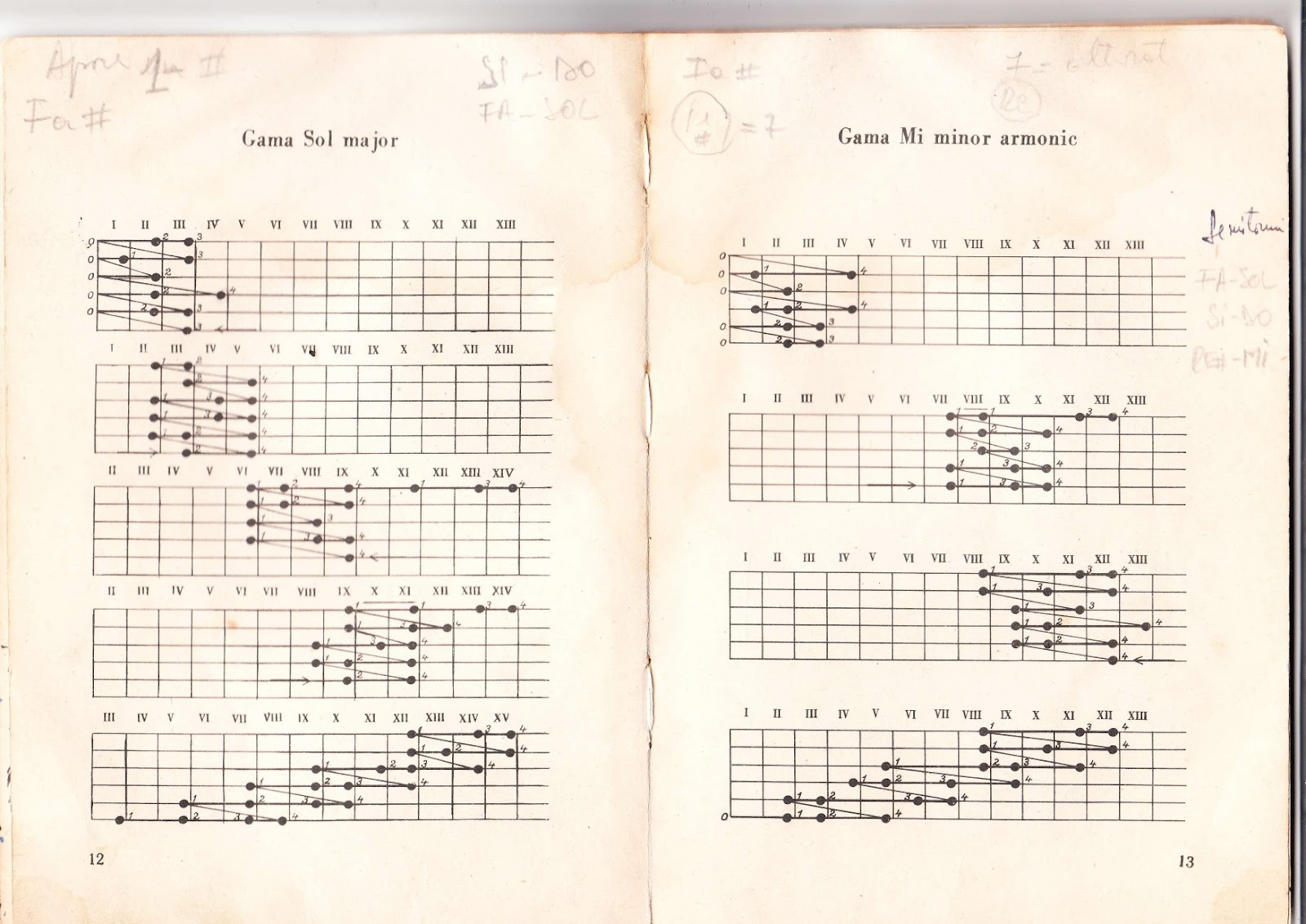 blogul chitaristului