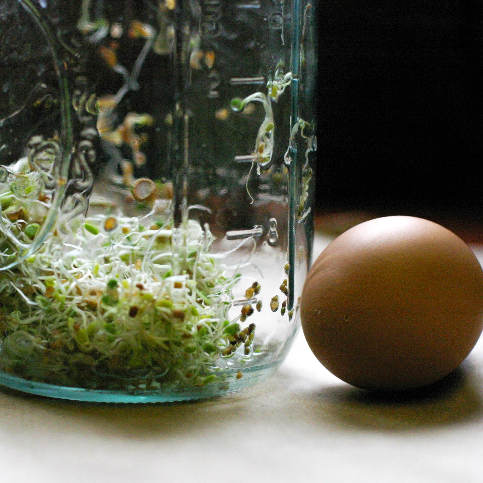 Sprouted Berry Smoothie